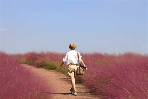 Navigating The World Tips For Creating Your Own Travel Guide Bukiii
