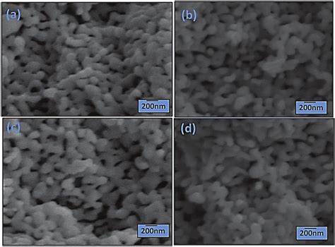 Sem Micrograph Of Magnetic Nanoparticle Samples At Different Reaction Download Scientific
