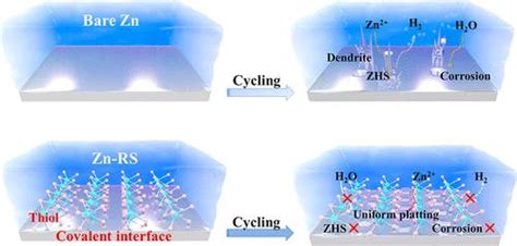 单层硫醇工程共价界面朝向稳定的锌金属阳极 Acs Nano X Mol