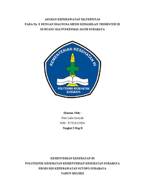 Lp Maternitas Pdf Kesehatan Holistik