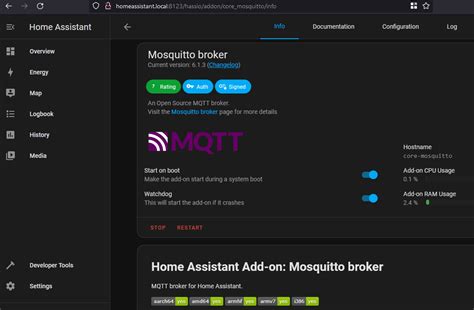 subscription and mutliple messages in one tcp frame · issue 3