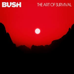 Bush Albums And Discography