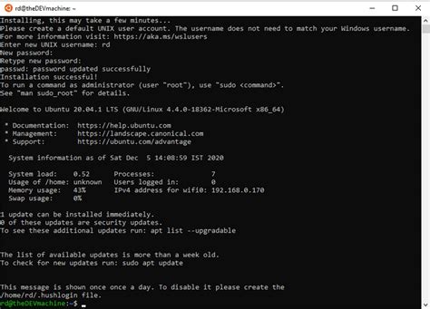 Setup Terminal With Zsh On Windows