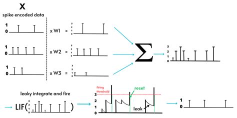 intro to spiking neural networks snns by amine ziad ounnoughene