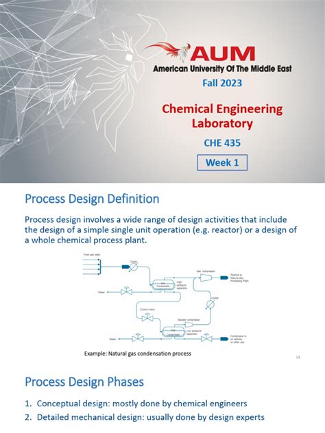 Pc Lab Introduction To Process Design Pdf Chemical Reactor Chemical Engineering