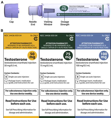 A Diagram Of The Parts Of The Subcutaneous Testosterone Enanthate Download Scientific Diagram