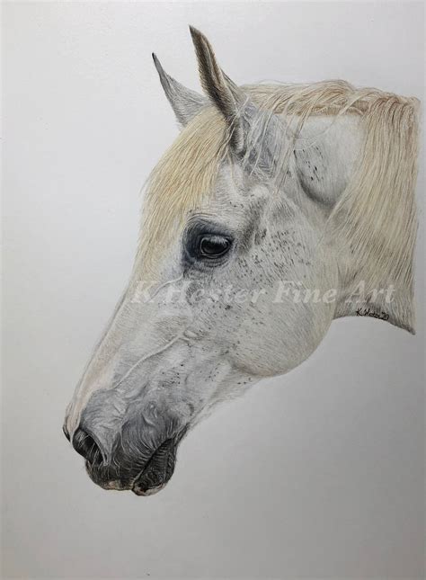 K Hester Fine Art Pet And Wildlife Portrait Artist