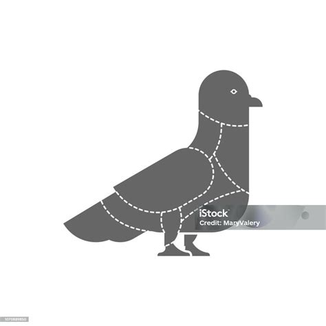 고기 비둘기의 커트 비둘기 고기를 다른 부품의 구성표 라인 실루엣 거리 새 육체를 잘라 하는 방법 고기에 대 한 포스터 정육점 다이어그램을 저장합니다 바베 큐 스테이크 음식