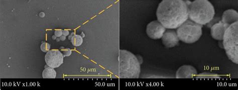 Sem Micrographs Of Pu Microcapsules A S1 B S2 C S3 And D S4