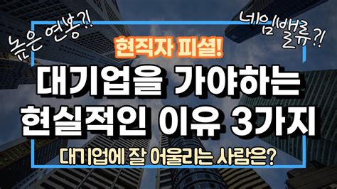 대기업을 가야하는 현실적인 이유 현직자가 말하는 대기업 장점 Top 3 대기업 취업은 이런 분들께 추천합니다 Youtube