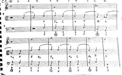 What A Canon In Music Theory Audiolover