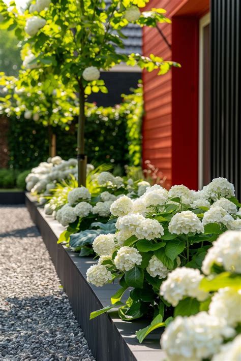 Tuininspiratie Tip Border Met Hortensias Tuin Tuin Ideeën