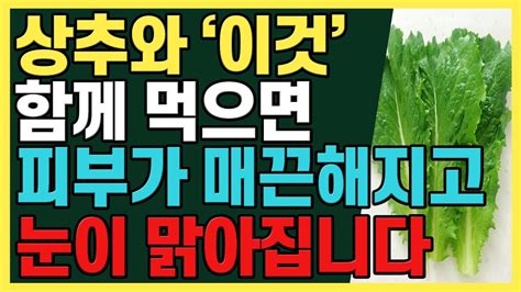 상추와 함께 먹으면 보약되는 음식 3가지와 레시 피 이것과 함께 드세요 피부와 눈에 좋은 음식 Youtube