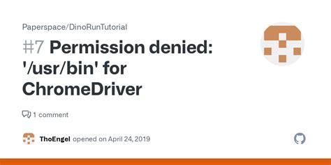 Permission Denied Usrbin For Chromedriver · Issue 7 · Paperspace