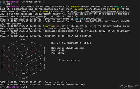 在rocky Linux上安装redis（dnf和源码安装）rocky Linux 安装redis Csdn博客