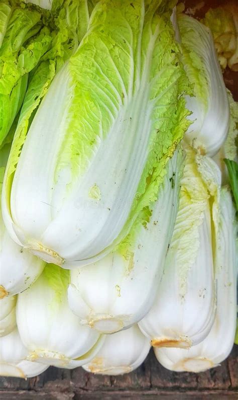 A Bunch Of Chicory Or Brassica Rapa At A Vegetable Market Stall Stock