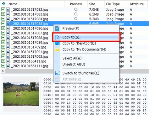 Copy Files By Context Menu CuteRecovery Online Help