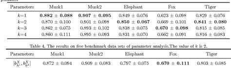 Bag Reference Vector For Multi Instance Learning
