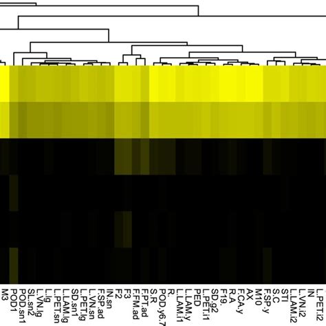 Diversified Spatiotemporal Transcripts Accumulation Pattern Within Download Scientific Diagram