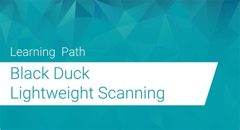 black duck lightweight scanning