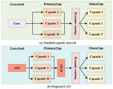 capsule attention network for hyperspectral image classification