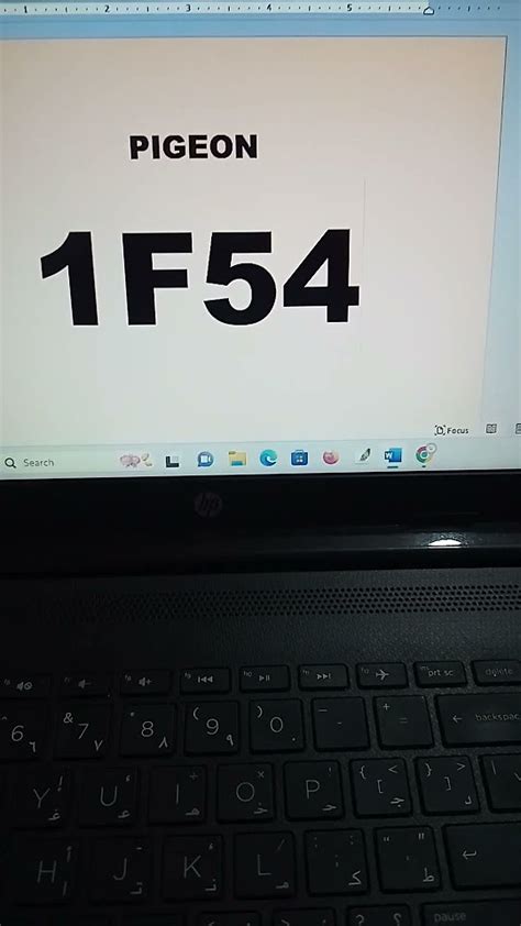 उड़ता हुआ कबूतर Ms Word Tricks Of Magic Msword Computertips