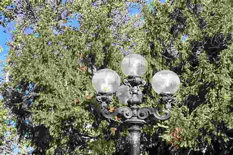 Гороскоп з 20 по 31 грудня для всіх знаків зодіаку кому пощастить зловити удачу в кінці року