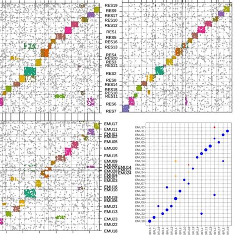 Pairwise Dot Plots And Chromosome Chromosome Significance Top Dot