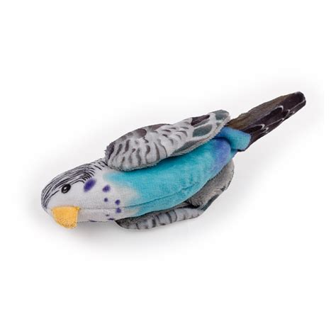 Afp Catnip Bird Cat Toy White And Blue Smart Pet Kuwait