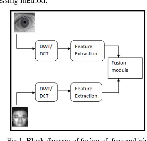 Figure From PCA BASED Image Fusion Of Face And Iris Biometric Features Semantic Scholar