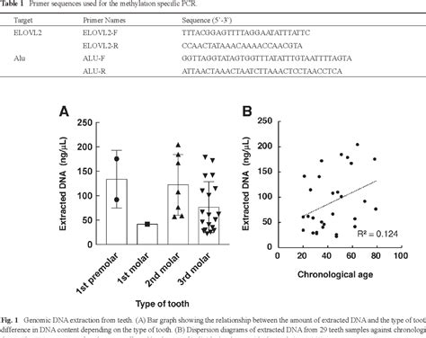 Figure 1 From A Newly Developed Age Estimation Method Based On Cpg Methylation Of Teeth Derived