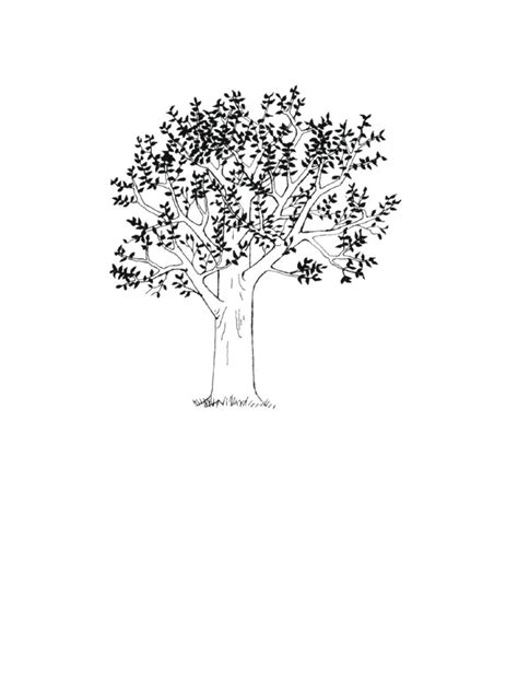 Boston Naming Test 15 Item Pdf