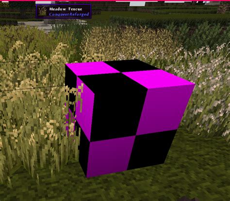 Plants Sometimes Place Down Missing Textures · Issue 102 · Conquest