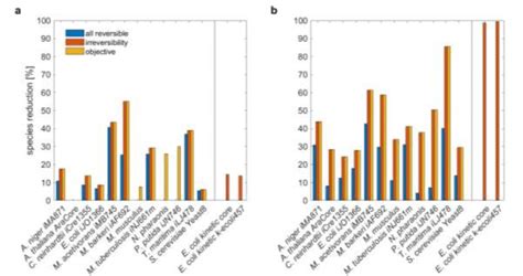 Reduction Of Genome Scale Metabolic Networks Genome Scale Metabolic Models Download