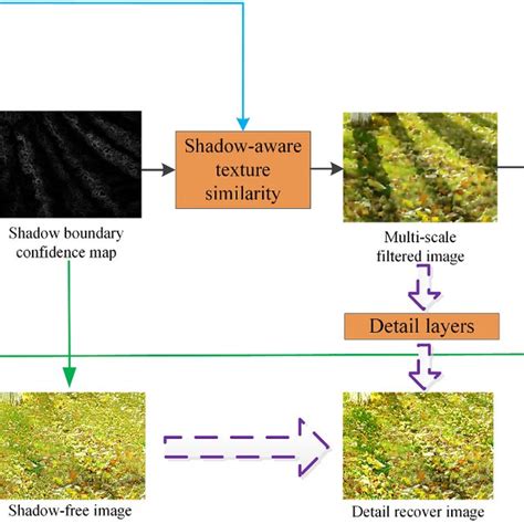 Overview Of The Proposed Shadow Detection And Removal Download Scientific Diagram