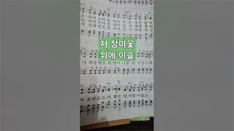 저 장미꽃 위에 이슬 찬송442장 Youtube