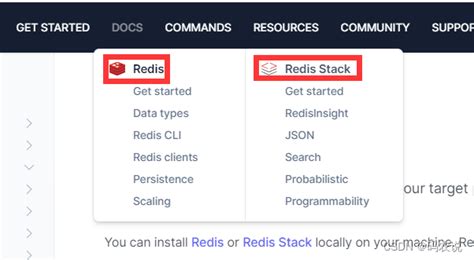 傻傻的分不清Redis Stack和Redis关系全新体验全文搜索向量数据库文档数据库真的很香 CSDN博客