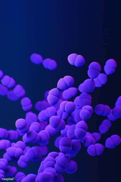 Staphylococcus Epidermidis Bacteria Sem Stock Image B234 0112 Artofit