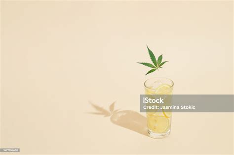 밝은 햇볕이 잘 드는 배경에 얼음 레몬 조각 마리화나 잎이 있는 햇볕에 쬐인 물 한 잔 최소한의 여름 개념 공간을 복사합니다 0명에 대한 스톡 사진 및 기타 이미지 Istock