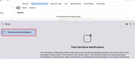 Swift How To Enable Ios Time Sensitive Notifications Switch In App