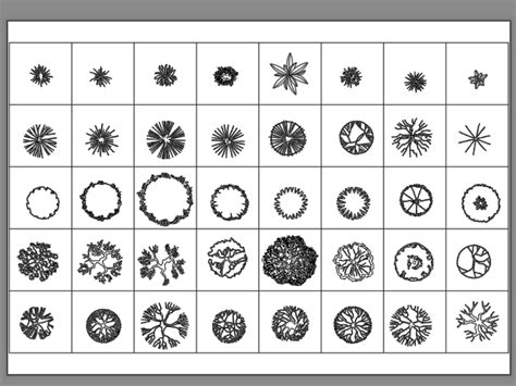 Cad Tree Symbols