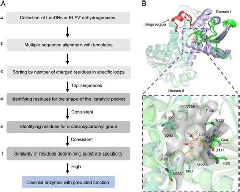 A The Approach Combining Multiple Alignment And Decisive Structural Download Scientific