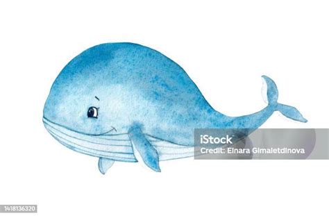 흰색 배경에 수채화 귀여운 푸른 고래 베이비 샤워 초대장 어린이 섬유 직물을위한 만화 스타일의 작은 고래 바다 거주자 고래에 대한 스톡 벡터 아트 및 기타 이미지 Istock