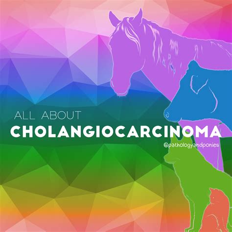 Cholangiocarcinoma Pathology And Ponies