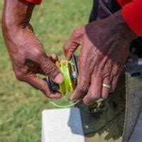 Stihl Weed Eater Troubleshooting Guide