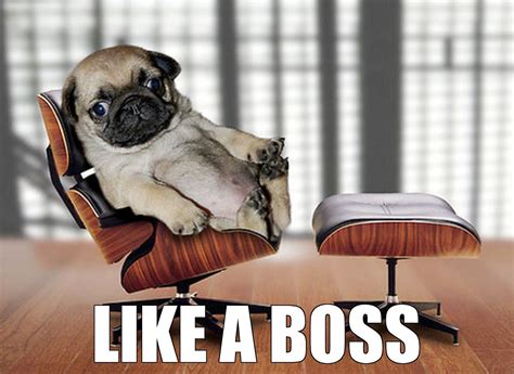 Writing Reusable Redux Like A Boss By Felix Tan Medium