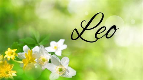 Leo💚Wow! Give This New Person A Chance Past Person Experiencing Tough ...