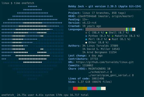 How To See Beautiful Git Project Stats In Your Terminal