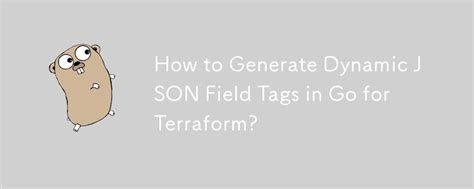 如何在 Go 中為 Terraform 產生動態 Json 欄位標籤？ Golang Php中文網