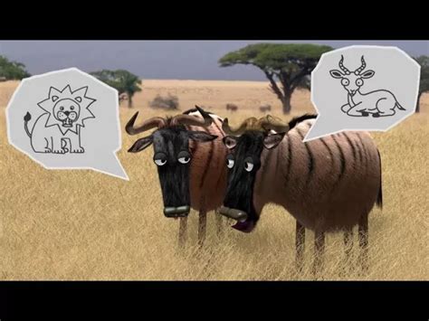 عاقبت بحث کردن دو تا گاو میشه این نتیجه اخلاقی اینکه با گاوها بحث نکنیم